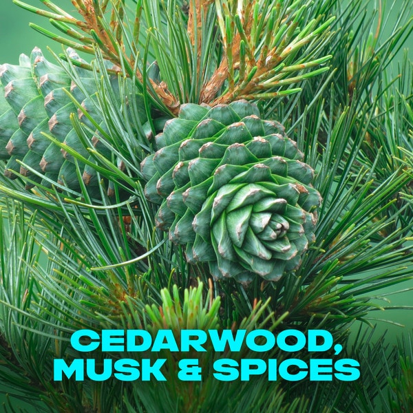 Superdrug | Beauty, Health, Skincare & Perfume