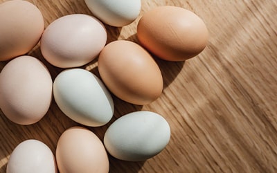 Protein Supplements | Powder, Shakes, Bars & More | Diet & Fitness ...